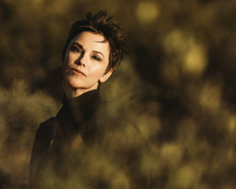 Acoustic Storm :: Advertisers